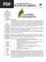 Simbolos Patrios de Puerto Rico | PDF | Naturaleza