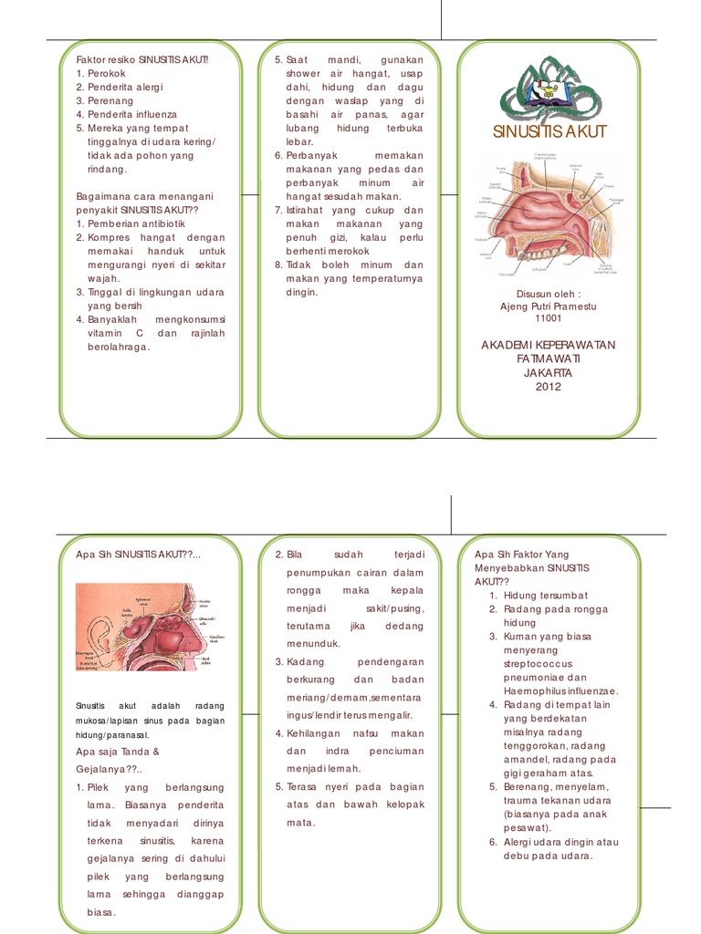 Leaflet Sinusitis | PDF