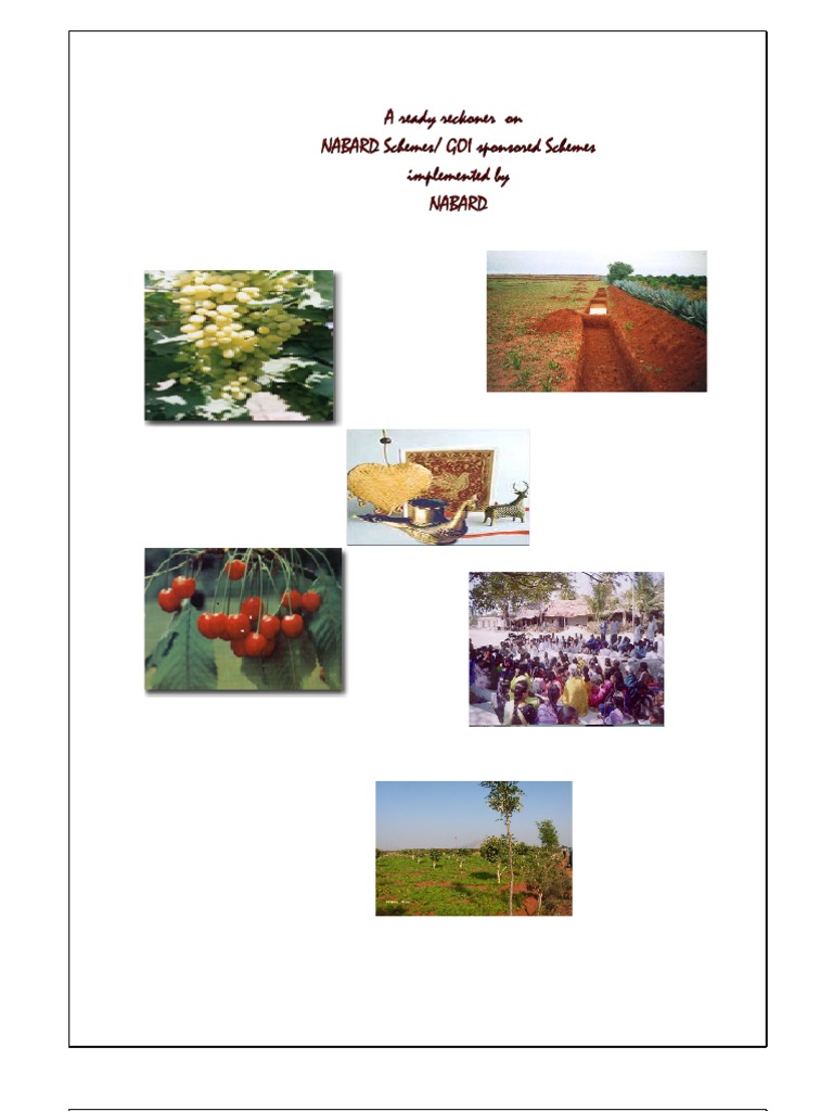 NABARD Schemes for Rural Development | PDF | Cooperative | Financial ...