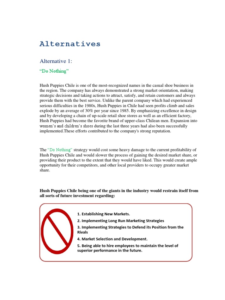 Alternatives & Recommendation | PDF | Retail | Strategic Management