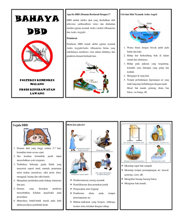 Leaflet DBD | PDF