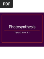 Photosynthesis Overview for Class 10 | PDF