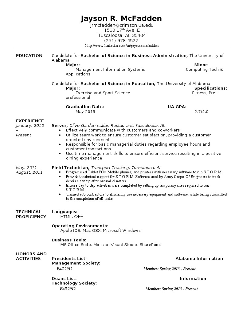 Mis Resume | PDF
