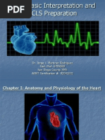 Faculty Guide For ACLS Instructor Course (PDF Library) | PDF ...