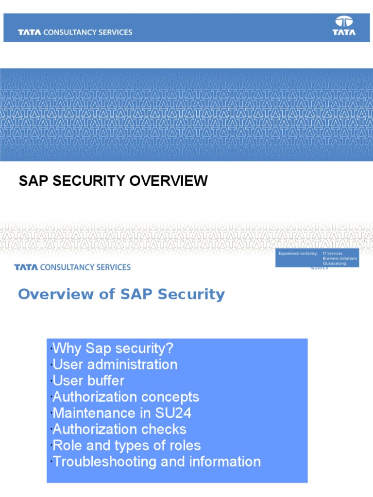 Sap Security Overview 1new | PDF | Login | Password