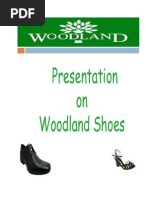 Shoes Questionnaire | PDF | Consumer Behaviour | Brand