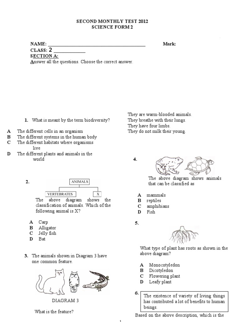 Monthly Test Science Form 2 | PDF | Food Web | Predation