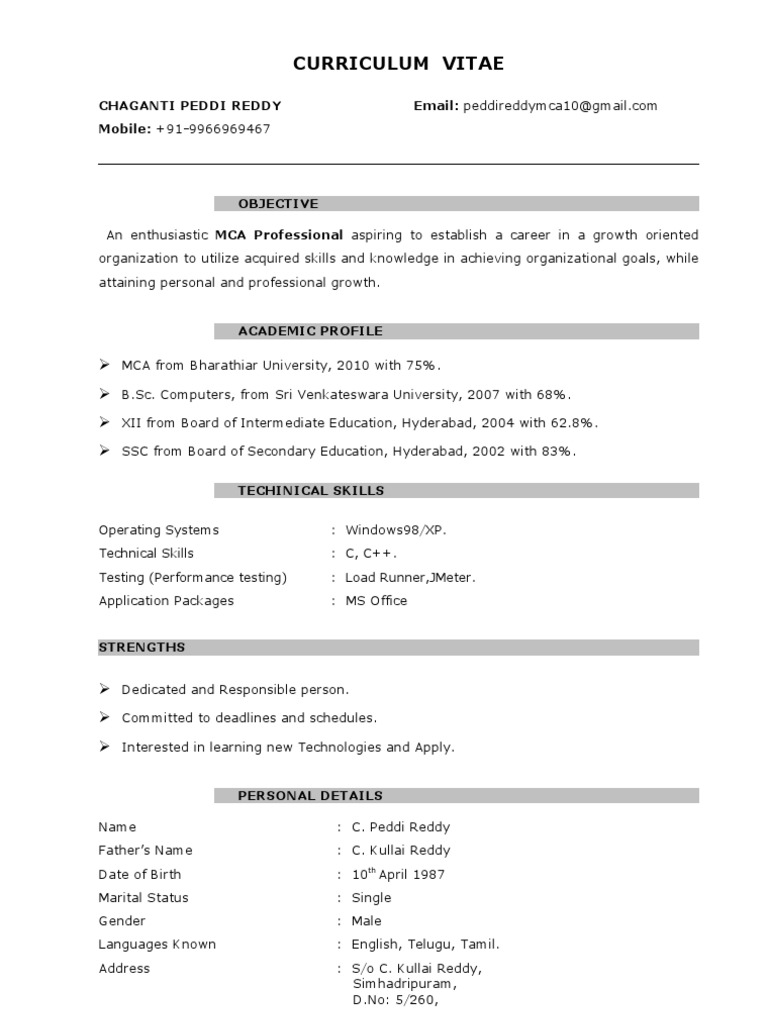 Fake Performance Testing Resume | PDF
