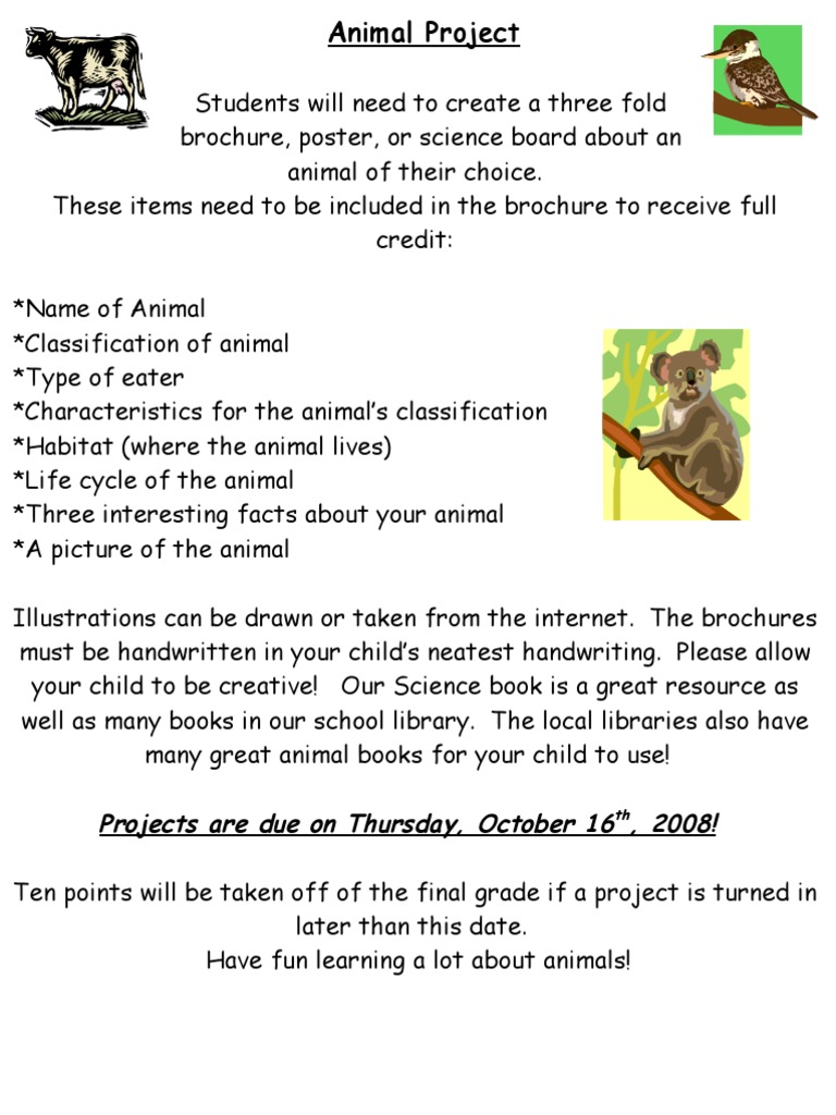 Animal Brochure Project Info Sheet | PDF