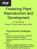 FFB Grading | PDF | Fruit | Palm Oil