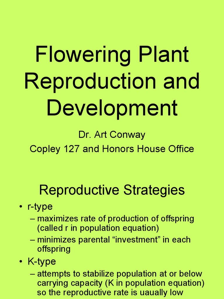 Flowering Plant Reproduction and Development Lecture Slides | PDF ...