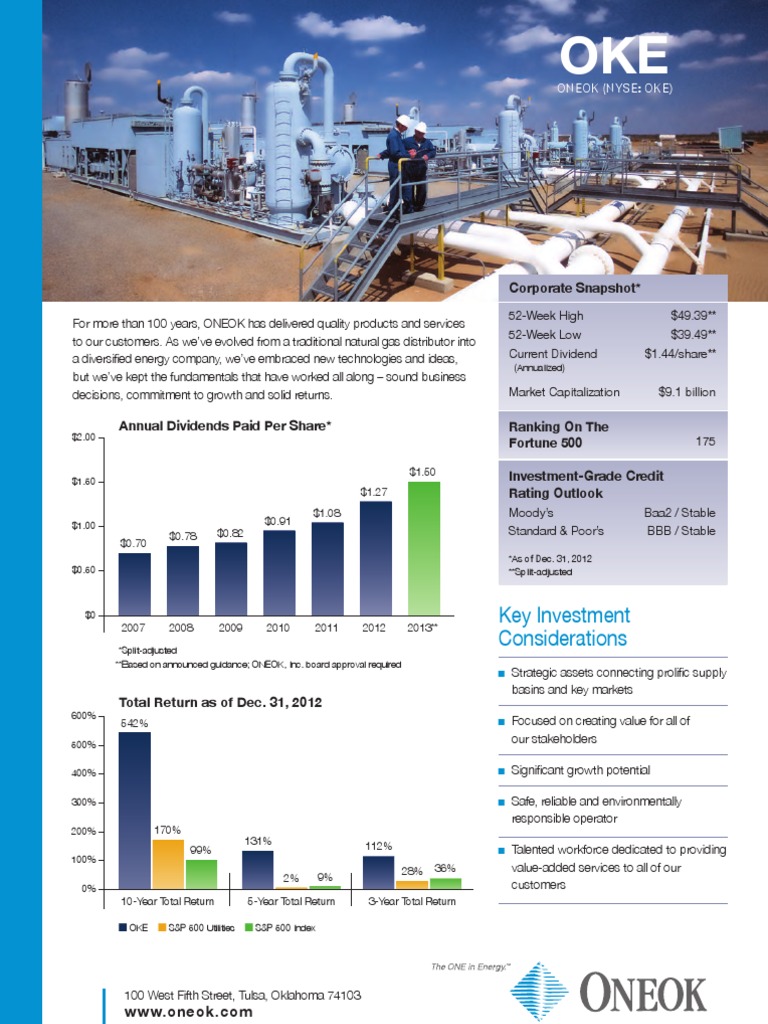 Key Investment Considerations: Corporate Snapshot | PDF | Economies ...