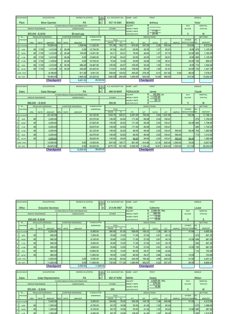 Payroll Project | PDF | Payroll Tax | Debits And Credits