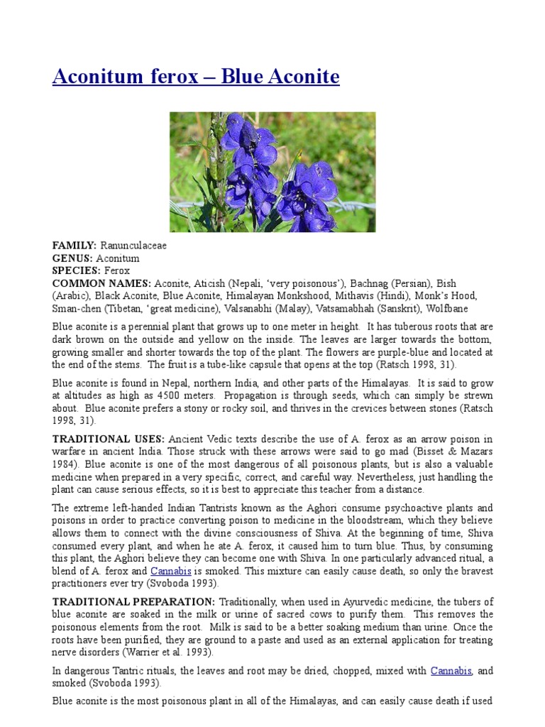 Aconitum Ferox - Blue Aconite | PDF | Plants | Medicine