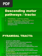 Pyramidal vs Extrapyramidal Tracts | PDF | Neuroscience | Neuroanatomy