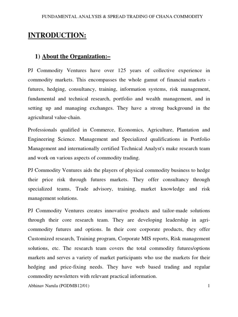 Project Report | PDF | Commodity Markets | Futures Contract
