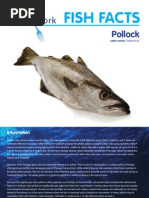 ORI Fish Fact Sheet Geelbek | PDF | Spawn (Biology) | Fish