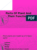 Parts of Plants and Their Functions | PDF | Leaf | Flowers