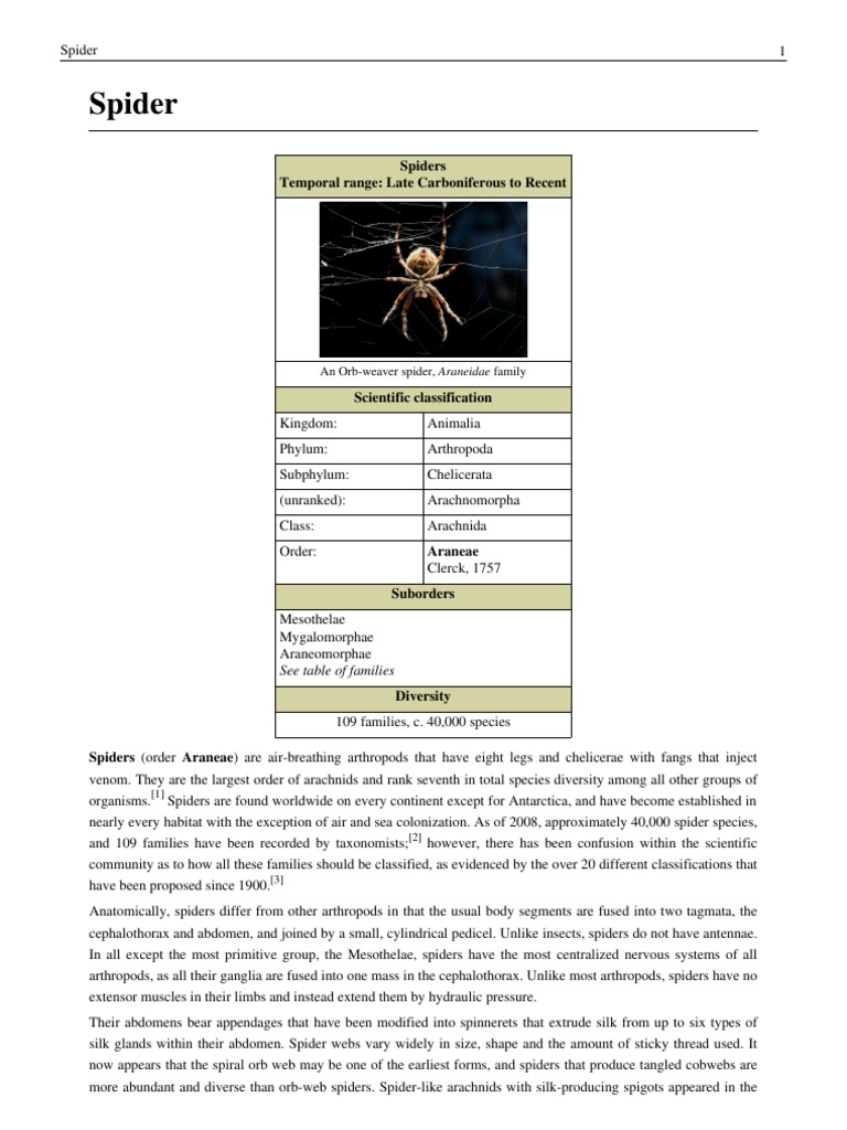 Spider | PDF | Spider | Spider Web