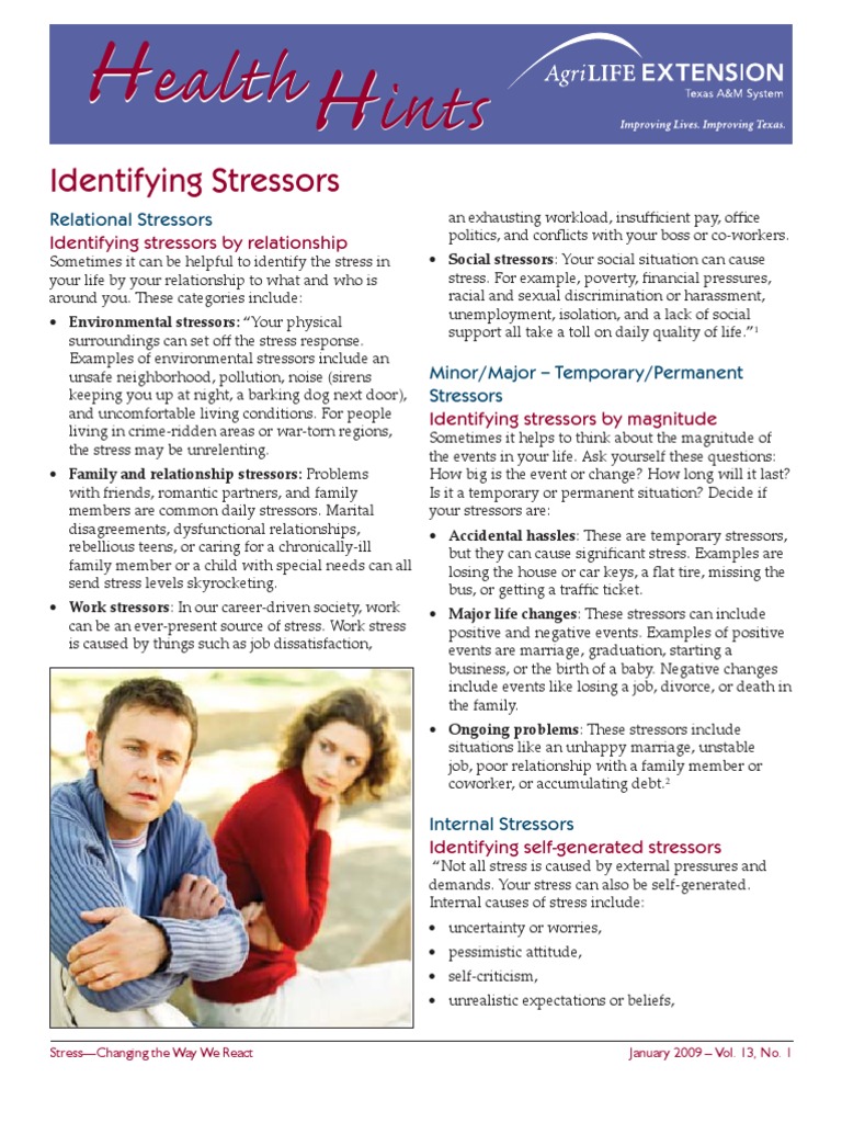 Identifying Stressors | PDF | Stress (Biology) | Behavioural Sciences