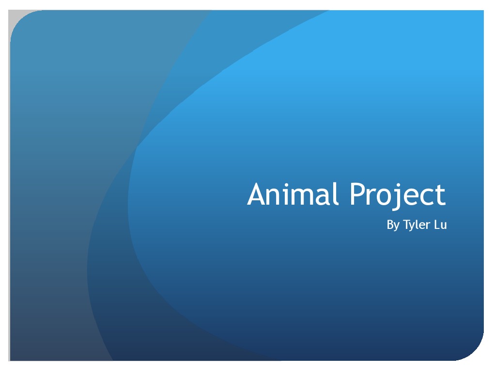 Animal Project Vocabulary List Pdf