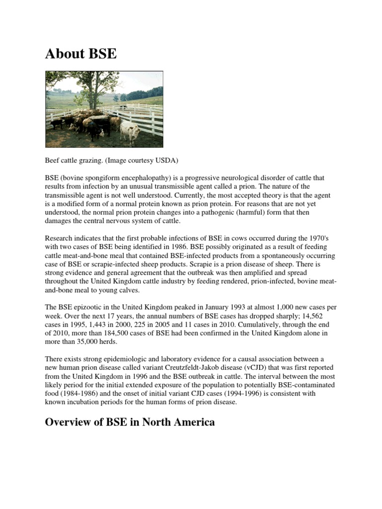 About BSE: Overview of BSE in North America | PDF | Epidemiology ...