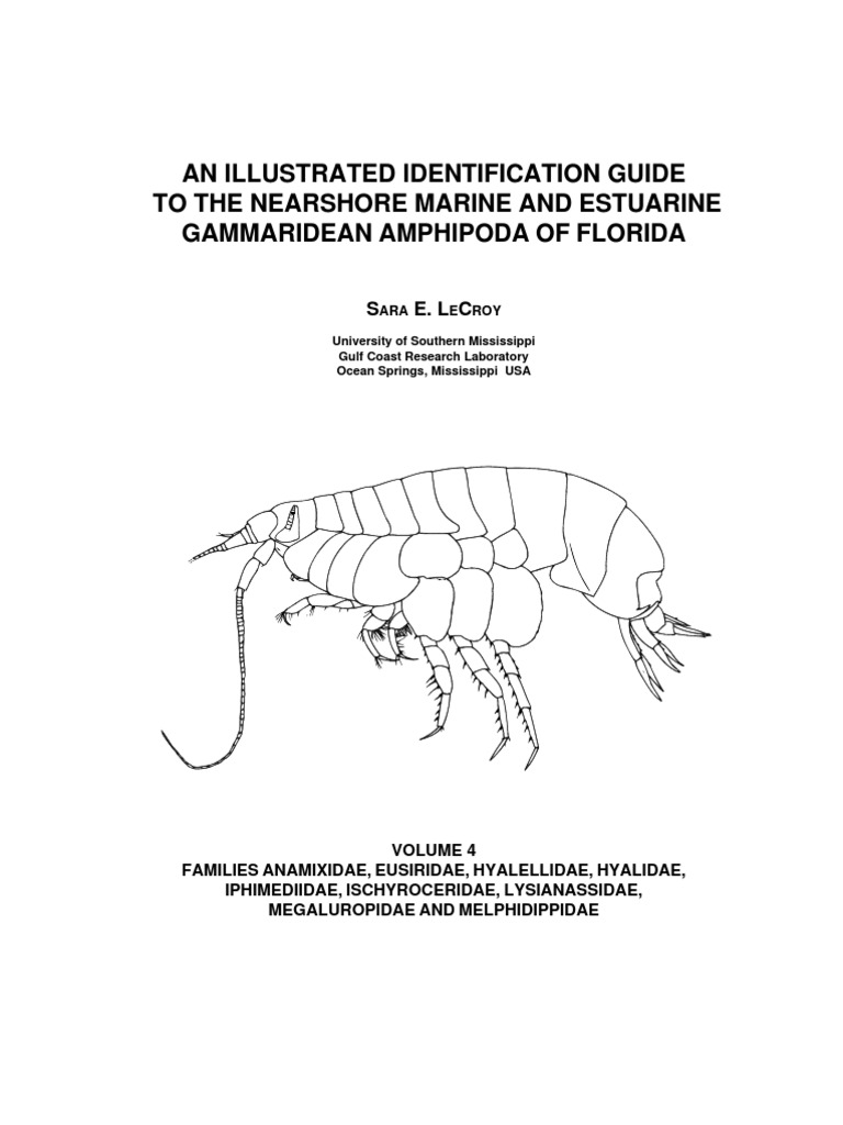 Amphipod Key V 4 | PDF | Anatomical Terms Of Location | Zoology