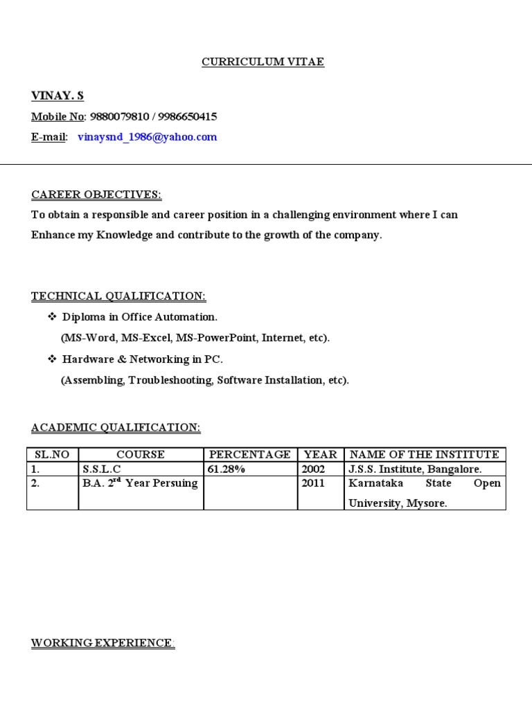 Vinay Resume | PDF