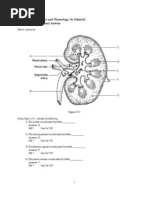 Quiz Renal | PDF | Renal Function | Organ (Anatomy)