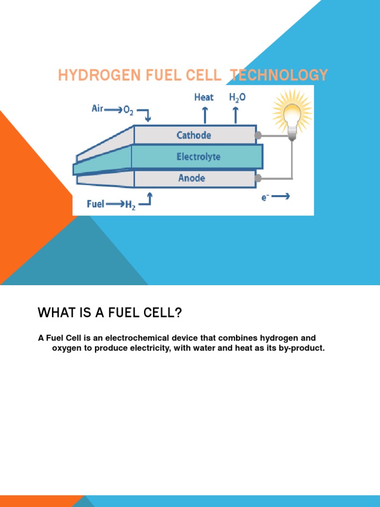 Hydrogen Fuel Cells Explained | PDF | Fuel Cell | Battery (Electricity)
