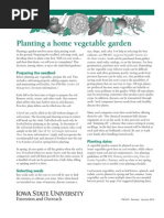 LSU-Ag Planting Guide | PDF | Vegetables | Fertilizer