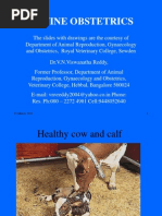 Trocarization Techniques in Cattle | PDF | Surgery | Medicine
