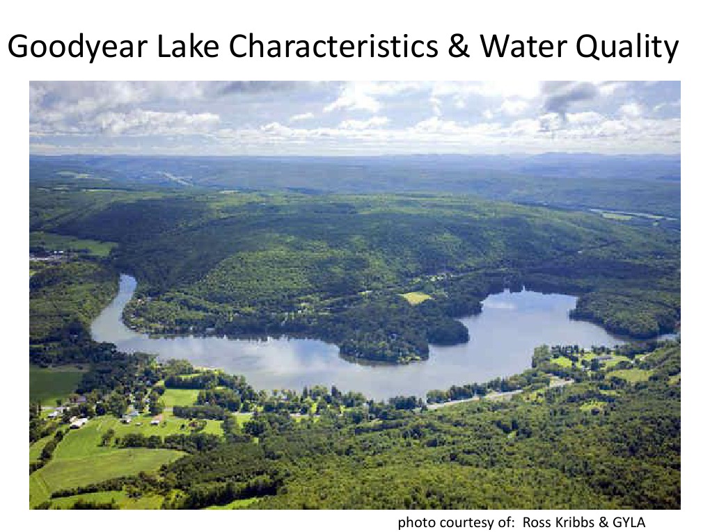 Goodyear Lake Water Quality | PDF | Lake | Hydrology