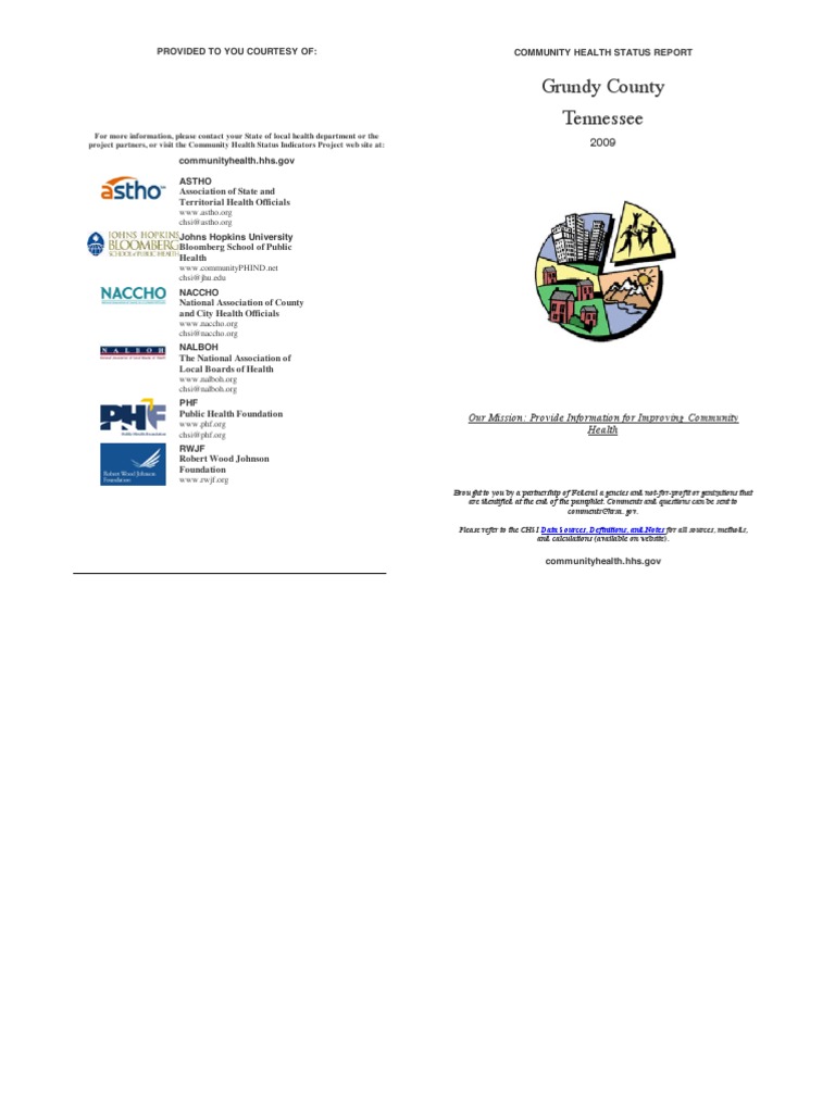 CHSI Report - Grundy | Download Free PDF | Public Health | Health Policy