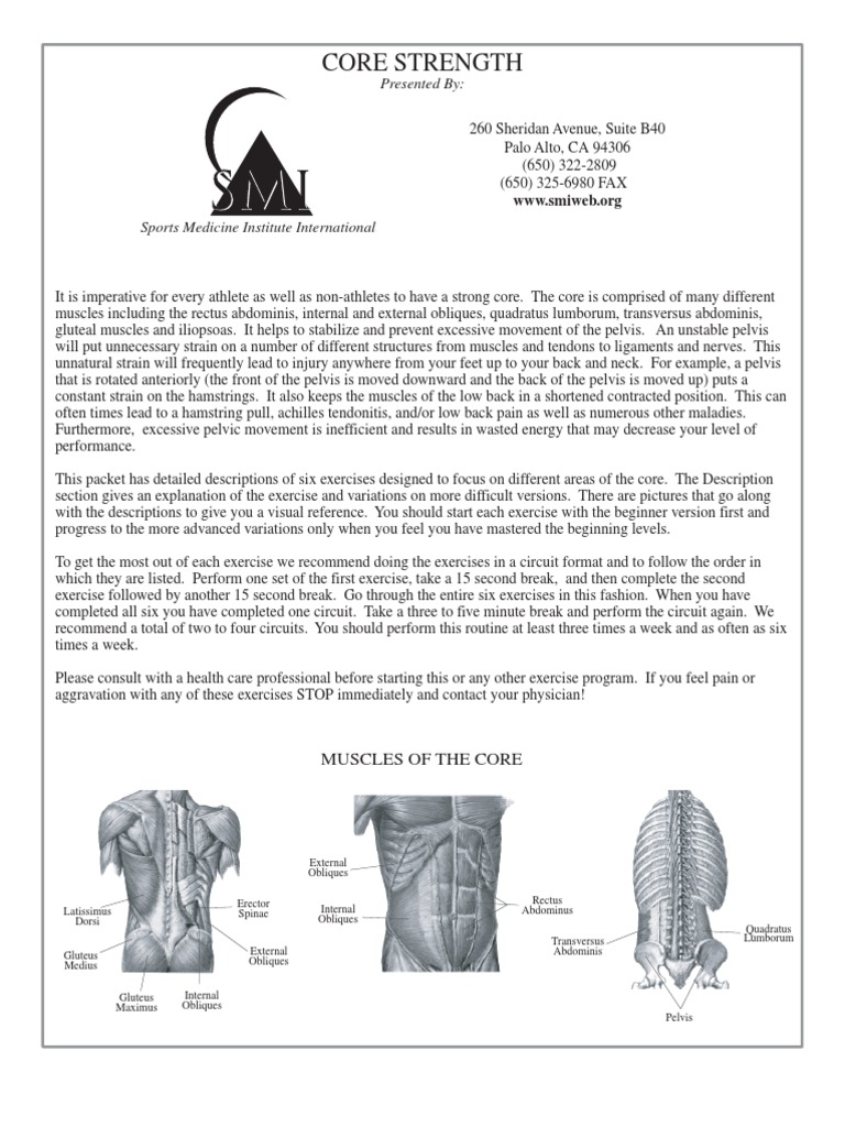 Core Strength | PDF | Anatomical Terms Of Motion | Pelvis