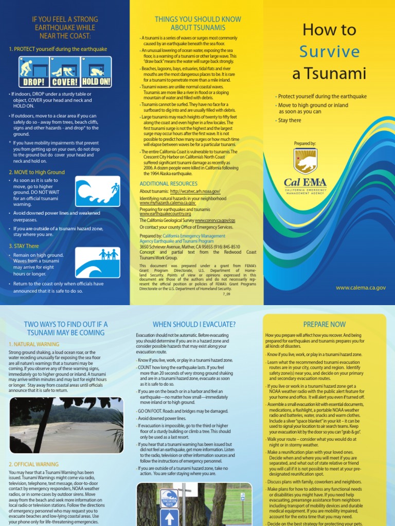 w Tsunami Brochure | Tsunami | Emergency Evacuation