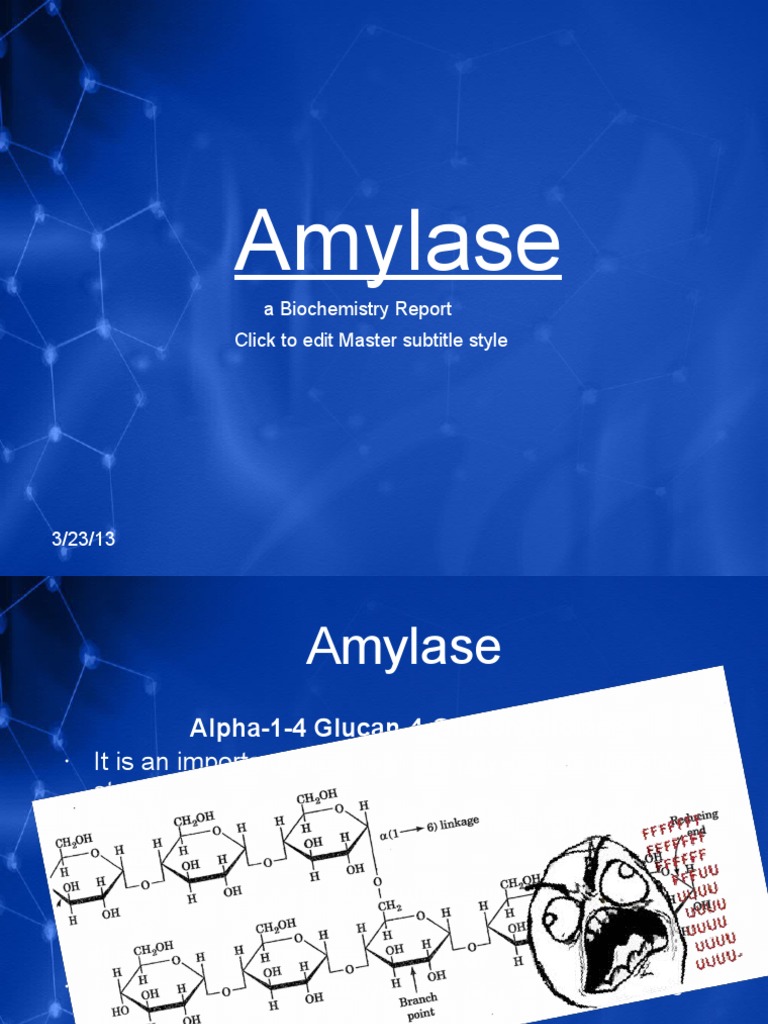 Amylase | PDF | Pancreas | Starch