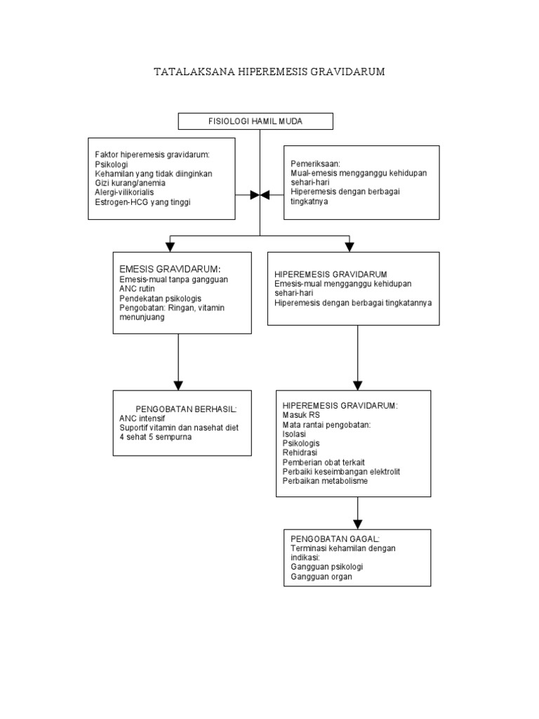 Tatalaksana Hiperemesis Gravidarum | PDF | Kesehatan Holistik