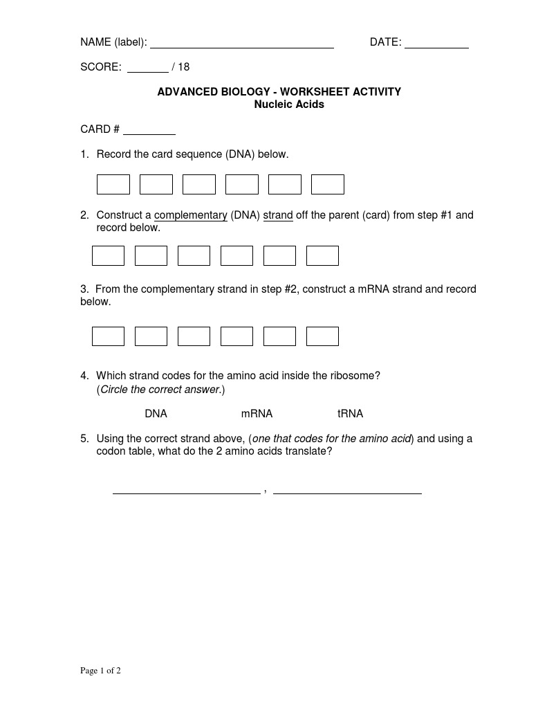 Nucleic Acids - Activity Worksheet - Print | PDF
