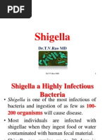 Communicable Disease Control Principles | PDF | Immunity (Medical ...