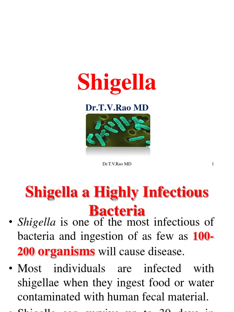 Shigella, Shigellosis | Diarrhea | Epithelium