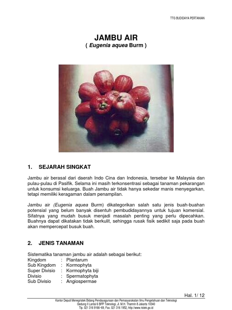 Jambu - Air (Eugenia Aquea Burm) | PDF