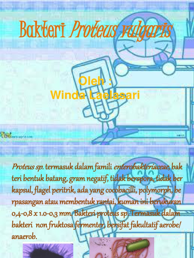 Bakteri Proteus Vulgaris | PDF