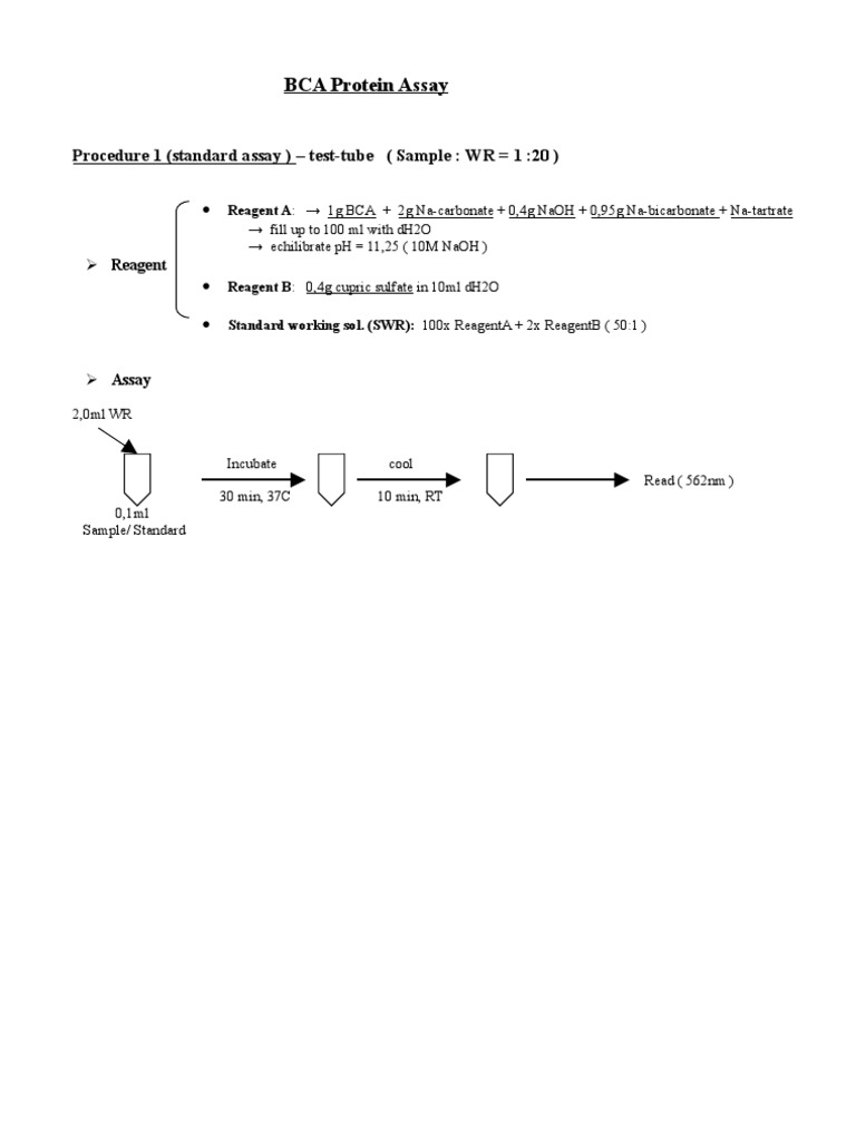 BCA Protein Assay: Procedure 1 (Standard Assay) - Test-Tube (Sample: WR ...