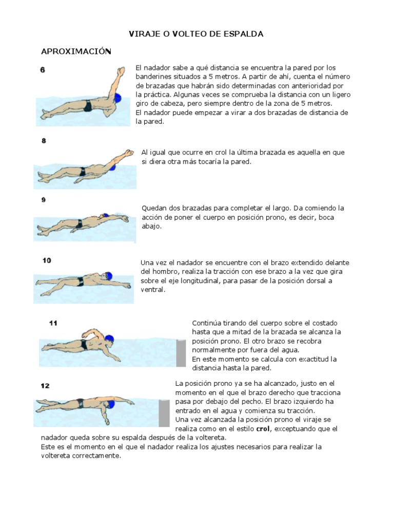 Viraje Espalda Natacion | Natación humana | Términos anatómicos de ...