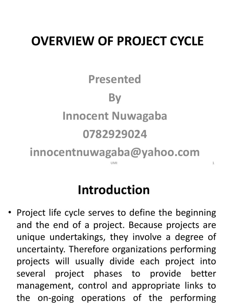 Project Cycle MANAGEMWNT 1 | PDF | Project Management | Business