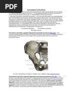 Form Closure and Force Closure | PDF | Pelvis | Vertebral Column