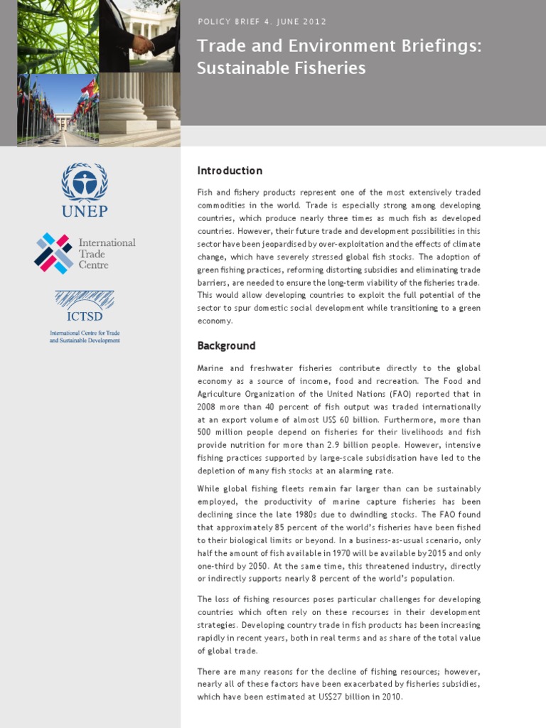Policy Brief 4 Sustainable-Fisheries | PDF | International Centre For ...