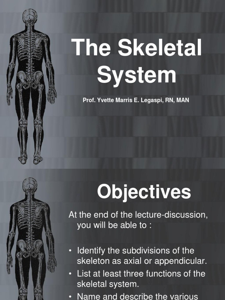 Ana&Physio 5 - The Skeletal System.pdf | Skeleton | Bone