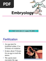 Pathophysiology of Normal Vaginal Delivery | PDF | Sexual Reproduction ...